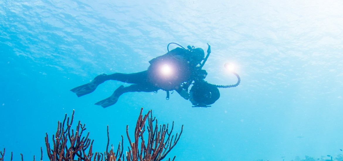 Underwater Photographer - Coral Diving Crete - A 5 Star PADI Resort ...